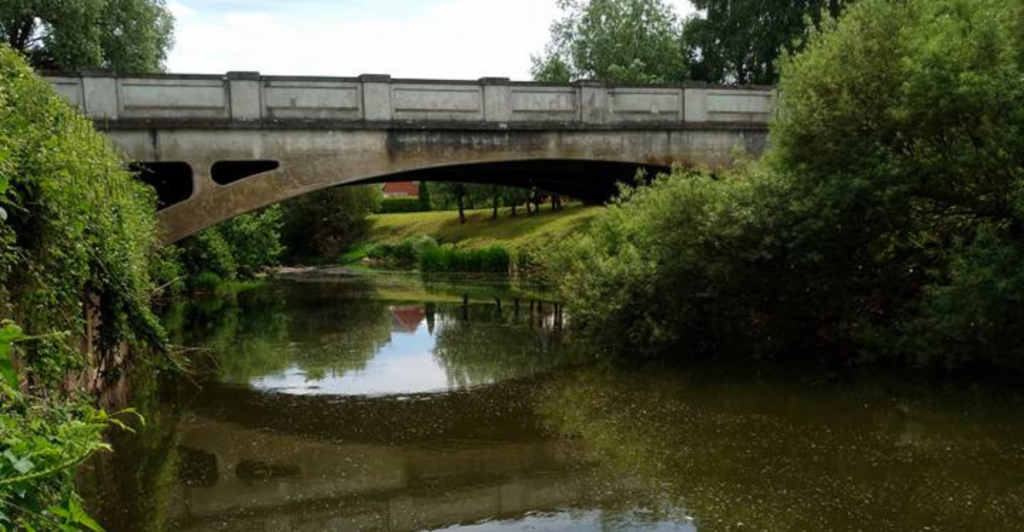 54 - River Teme - Bransford Bridge - White Swan Piscatorials