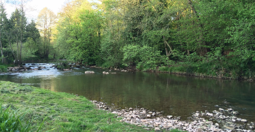 62- River Rea - Cleobury Mortimer - White Swan Piscatorials